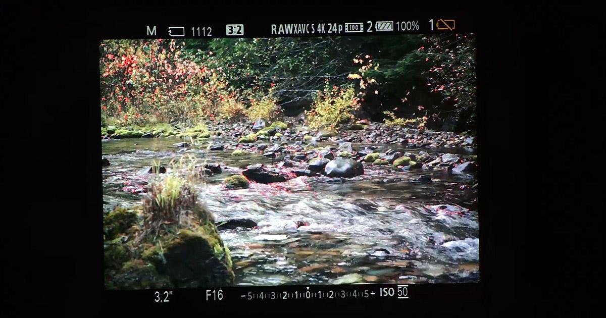 A Look inside the EVF of the Sony A&R II (VIDEO)