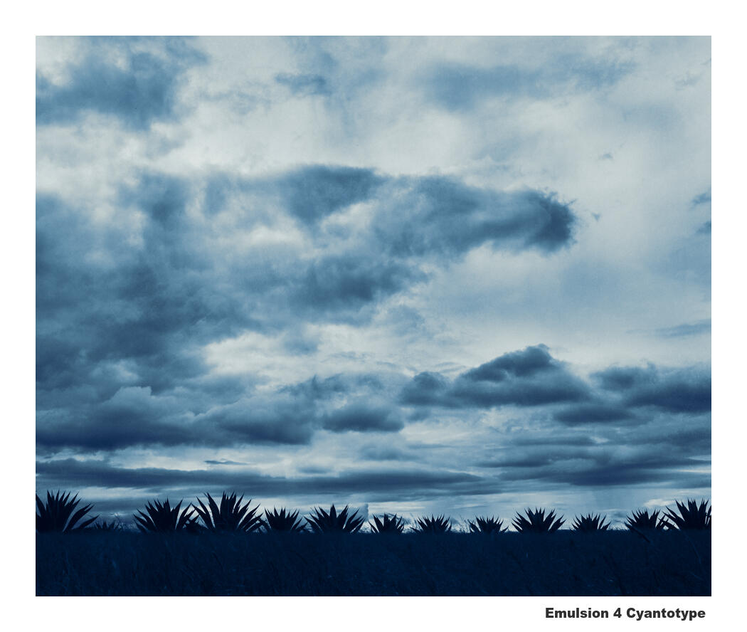 cynaotype-photoshop-action-preset - Seim - Master Photographer