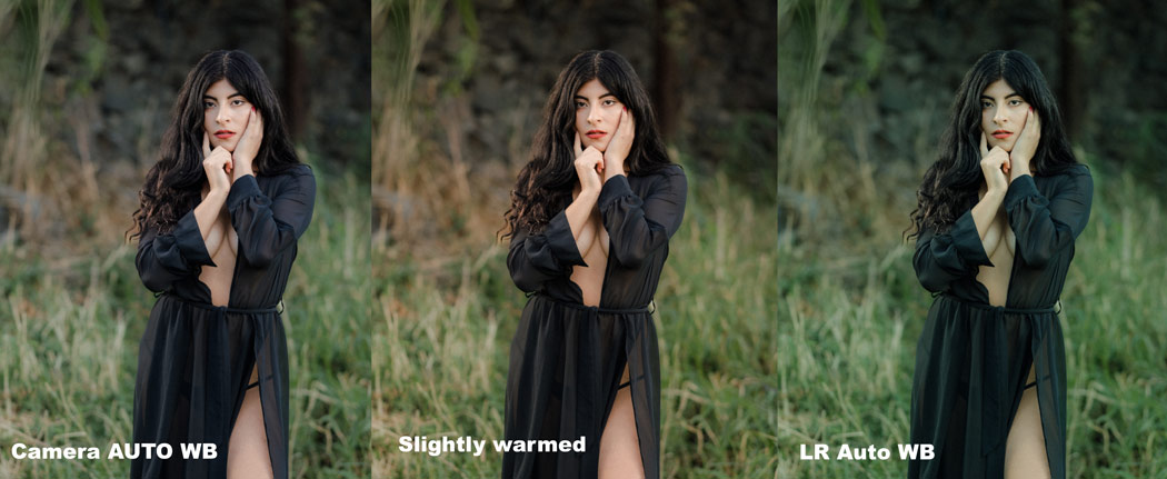 What-is-White-Balancing-in-Photography - Seim - Master Photographer