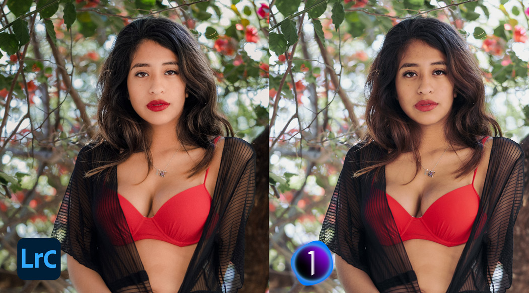Lightroom 2023 Ai Masks vs Capture One