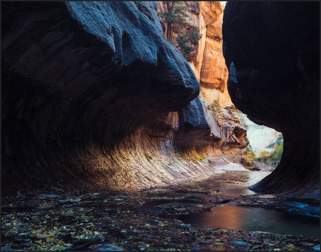 Agfa-RSX-preset-better-in-Filmist - Seim - Master Photographer