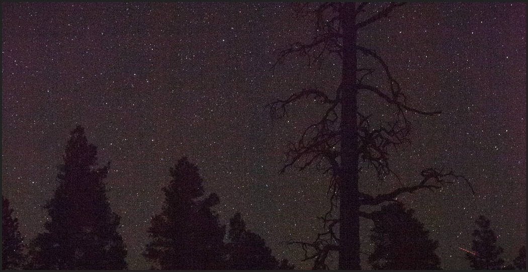 how-to-photograph-stars-iso-25600 - Seim - Master Photographer