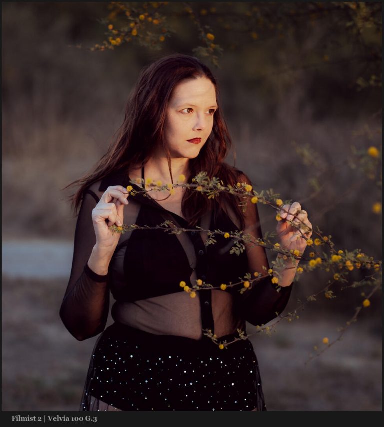 I made the Velvia 100 look on digital and it teaches the contrast of ...