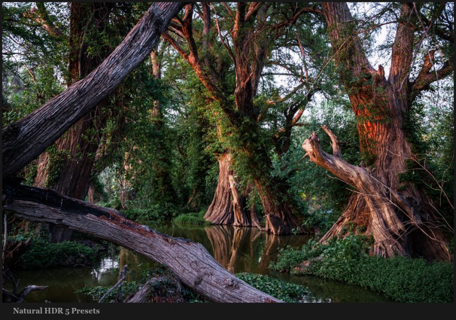 Natural HDR 5 Presets_2 - Seim - Master Photographer